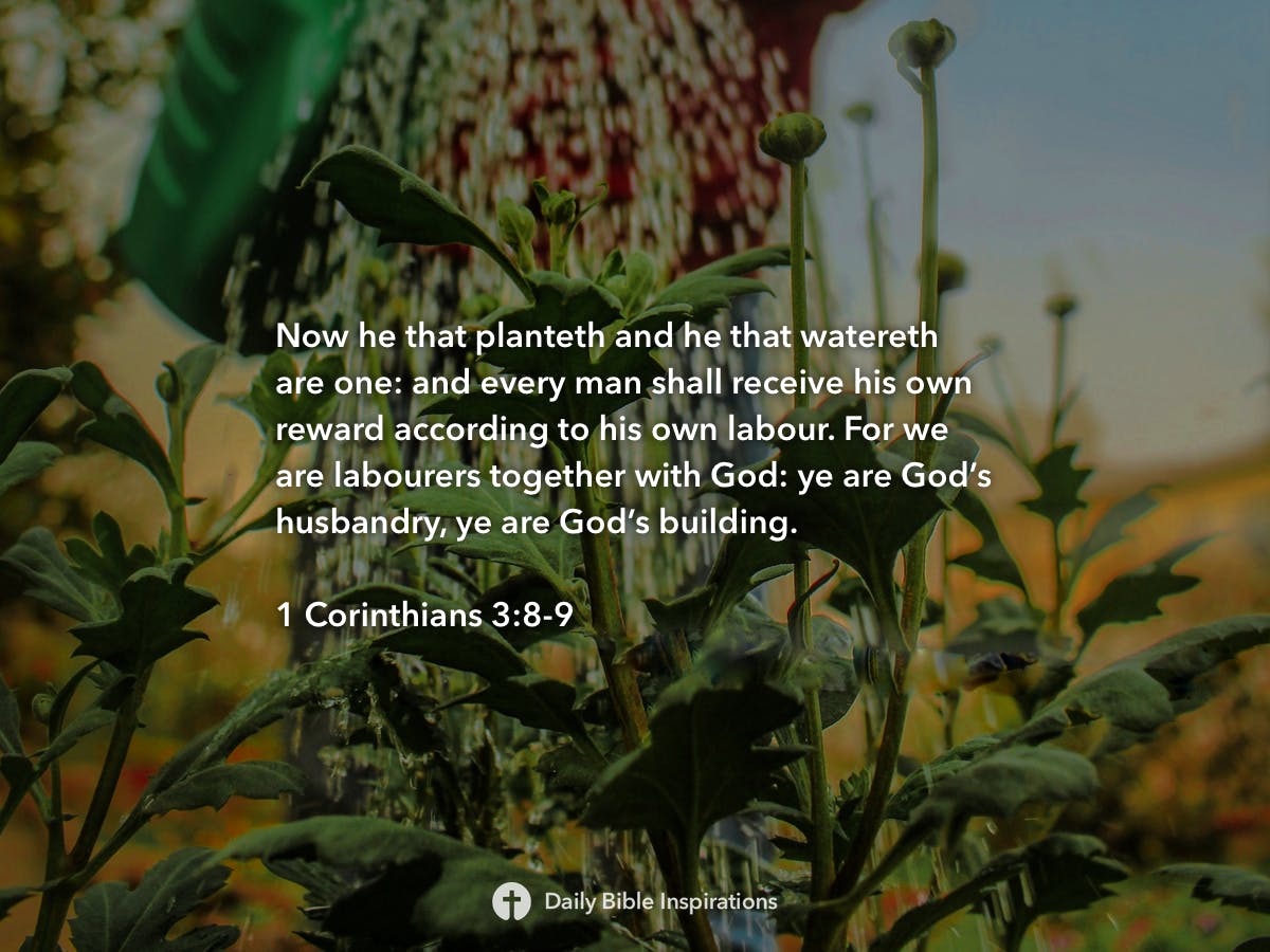 1 Corinthians 3:8-9 - Daily Bible Inspirations