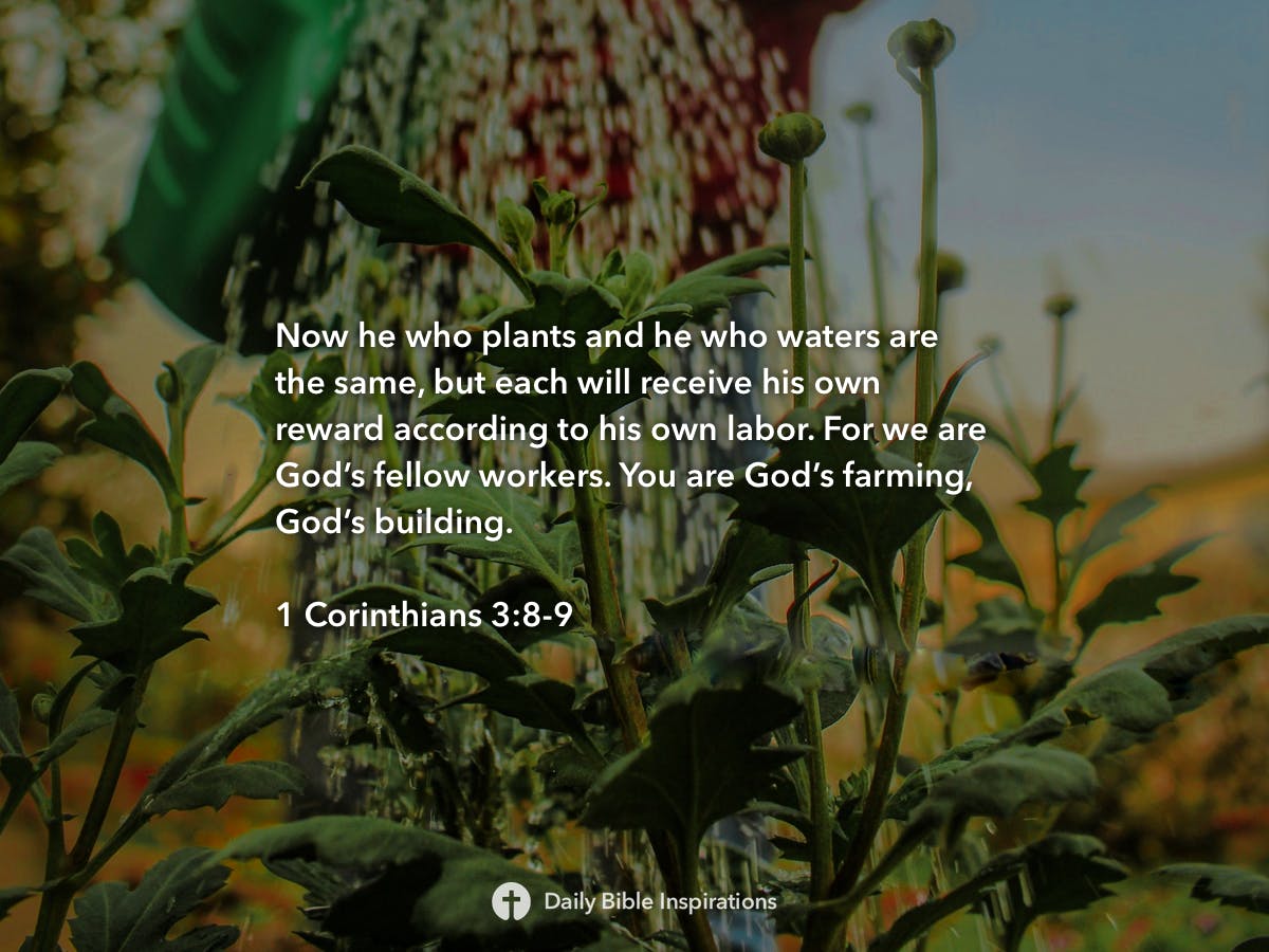 1 Corinthians 3:8-9 - Daily Bible Inspirations